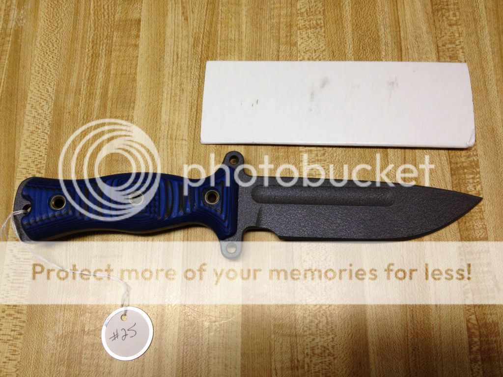 Busse TGLB-M Team Gemini Light Brigade Mini from Blade 2013 & $300 SAR3 ...