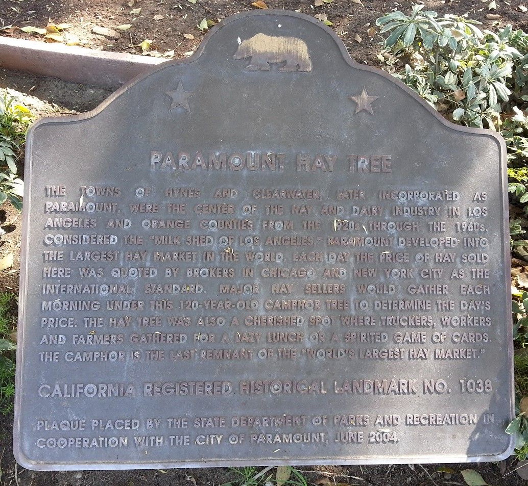 noirish Los Angeles - Page 2035 - SkyscraperPage Forum