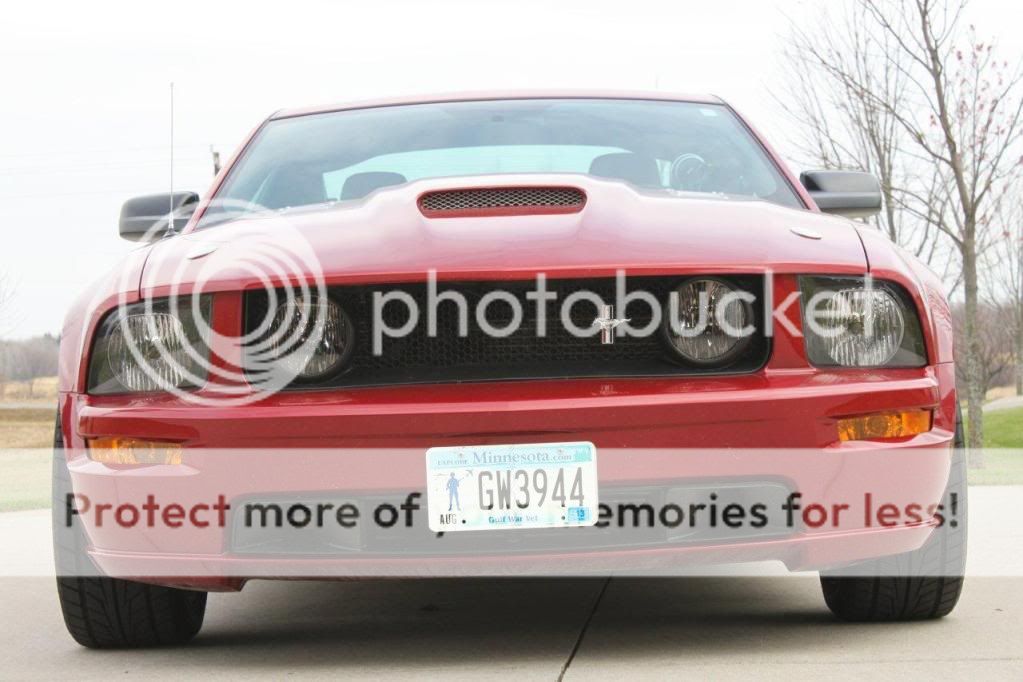 2005-2009 Mustang Grille | S197 Mustang Forum - S197Forum.com